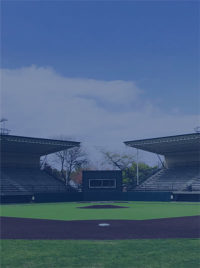 Not Your Average Baseball Game | DubSea Fish Sticks Baseball